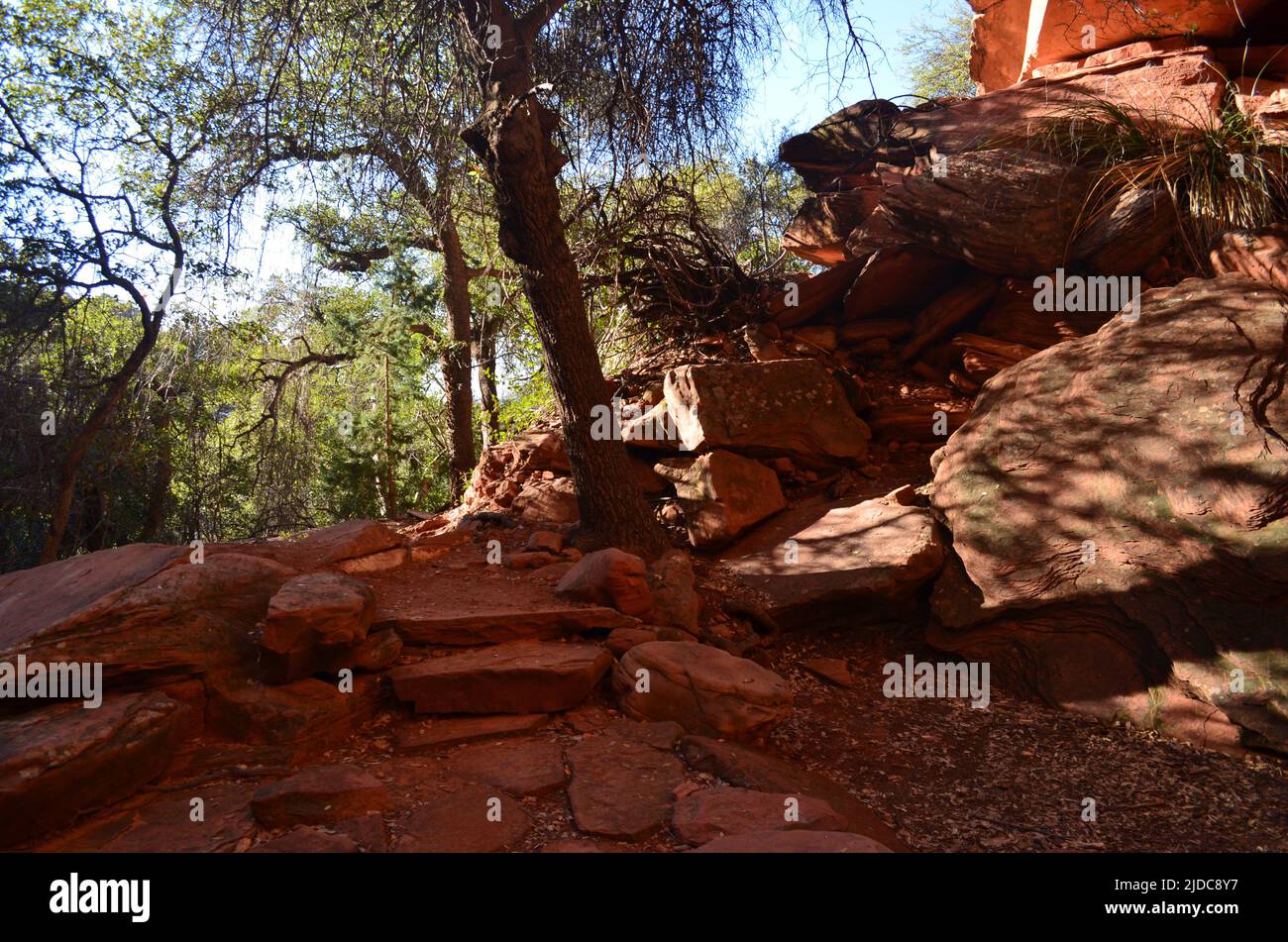 Natural red rock hiking steps in Sedona Arizona along a trail Stock ...
