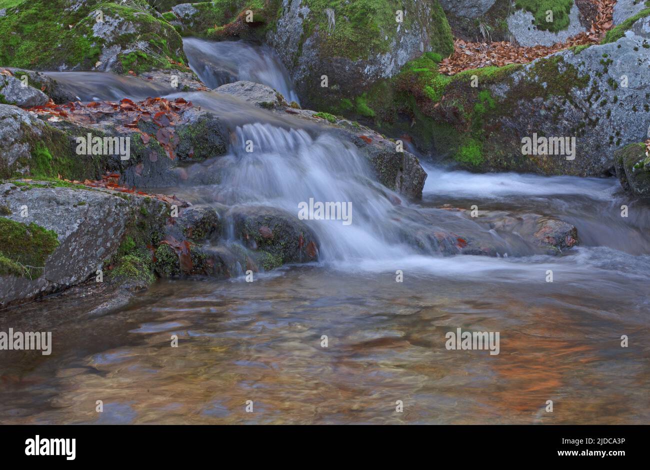 France, Lozère, waterfall, view details Stock Photo - Alamy