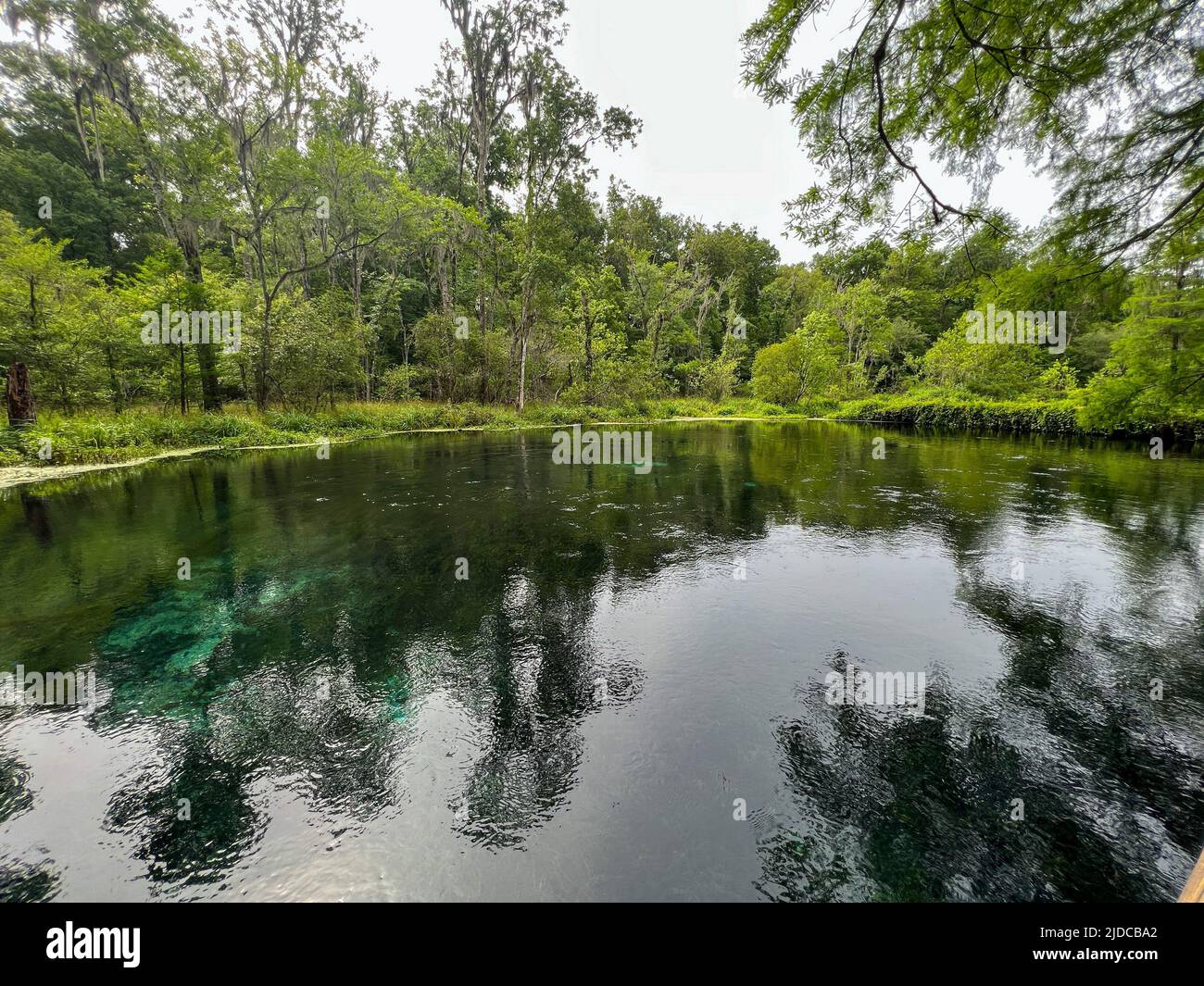 The spring in Ichetucknee State Park in Florida on a sunny day Stock ...