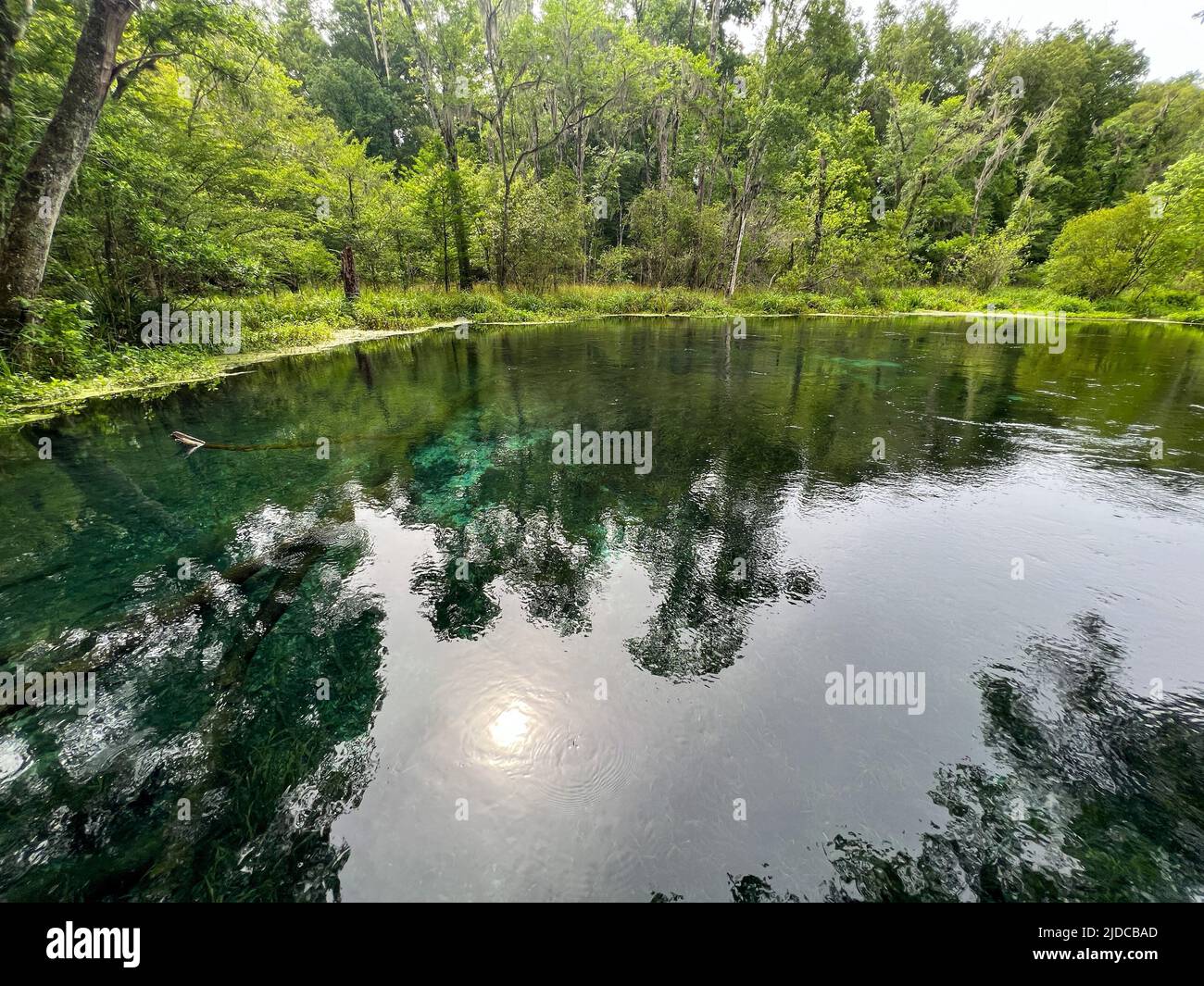 The spring in Ichetucknee State Park in Florida on a sunny day Stock ...