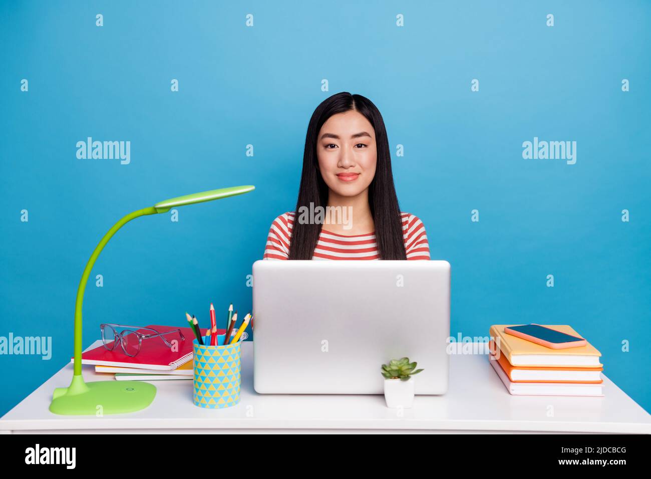 Portrait of pretty positive lady sitting desk use wireless netbook ...