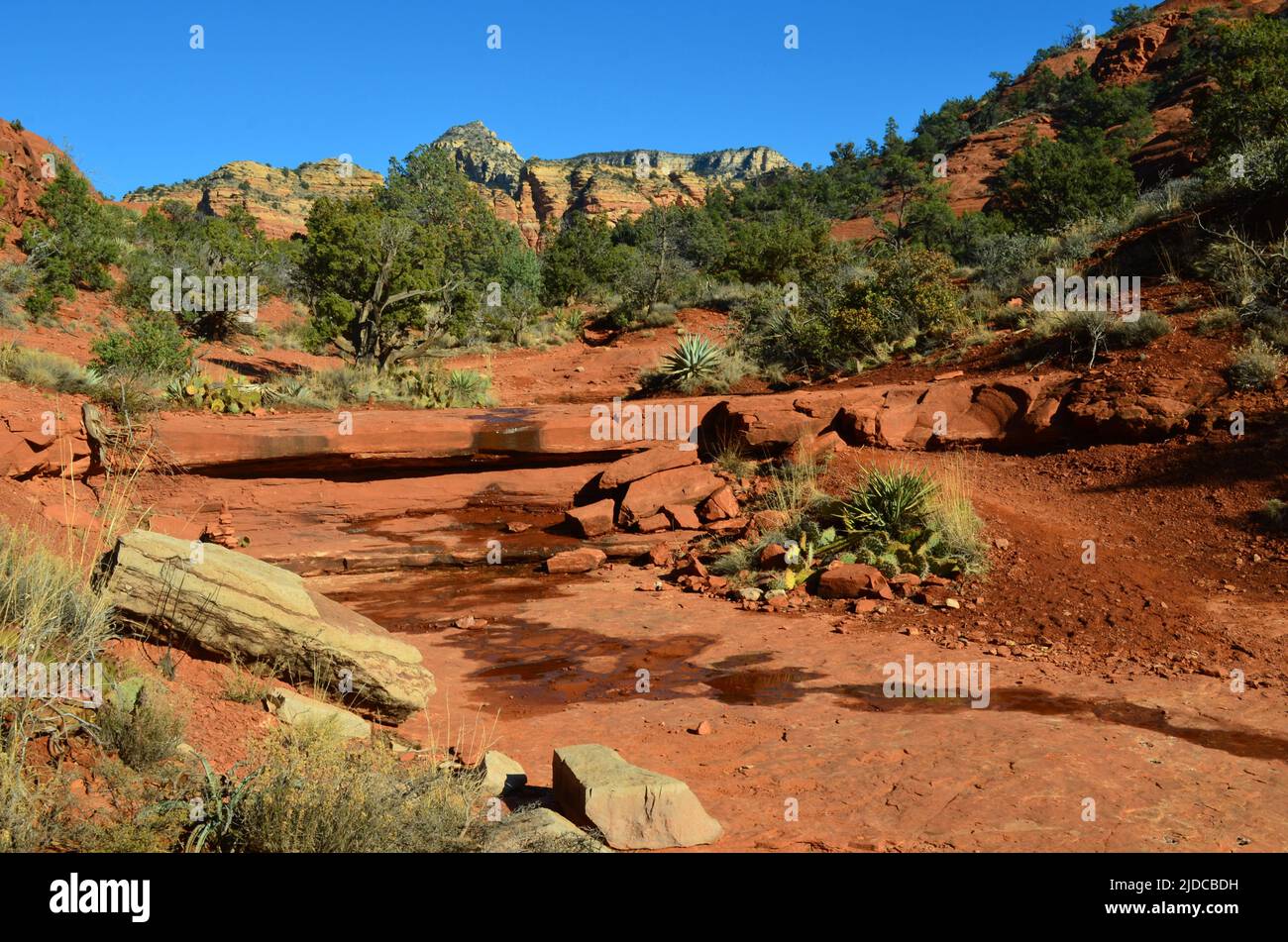 Amazing dry arid landscape of gorgeous red rock Sedona Arizona Stock ...