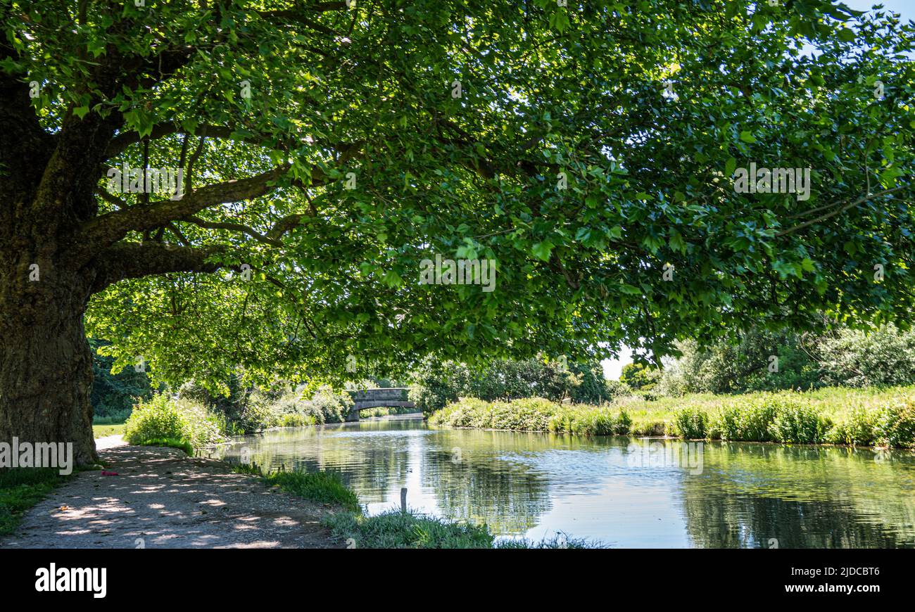 Chalk stream river itchen hi-res stock photography and images - Alamy