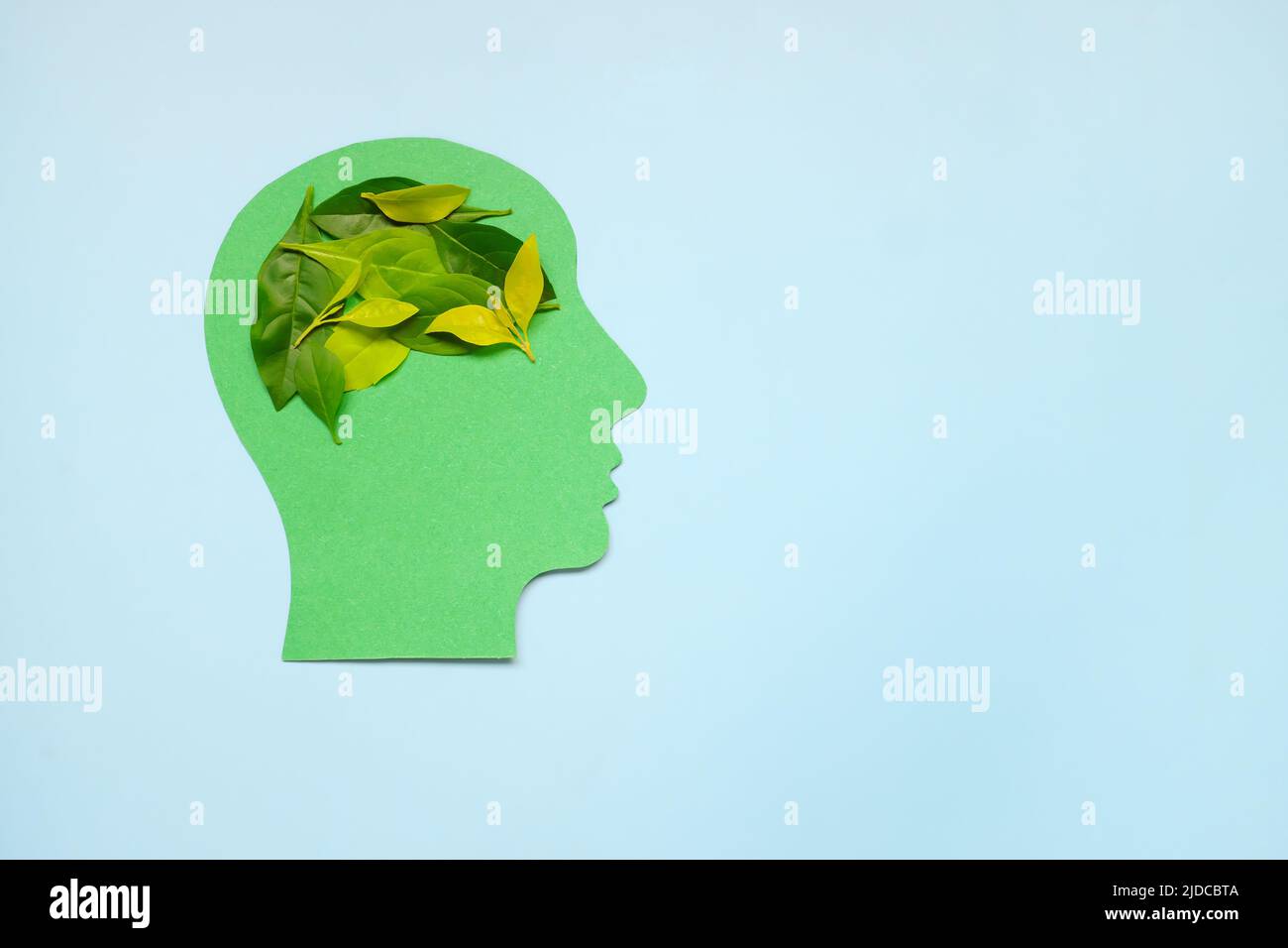 Environment conservation ideas, awareness, initiative, innovation and ...