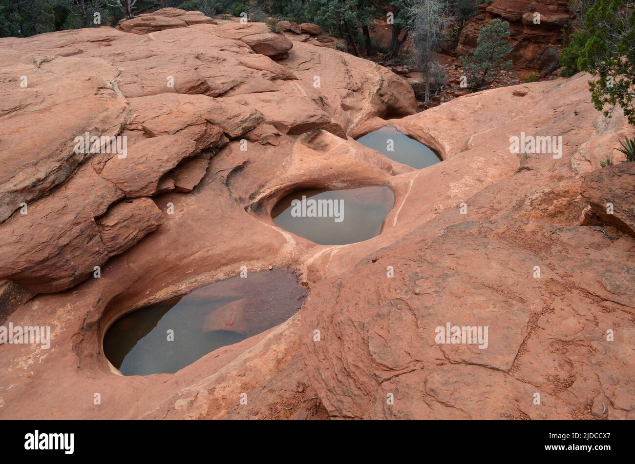 Pools of water collecting in the red rocks of Sedona Arizona Stock ...