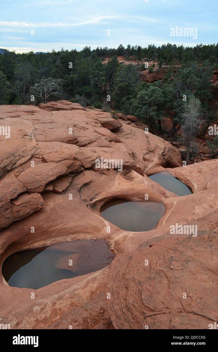 Red rock with tiered pools of water in Sedona, Arizona that overflow ...