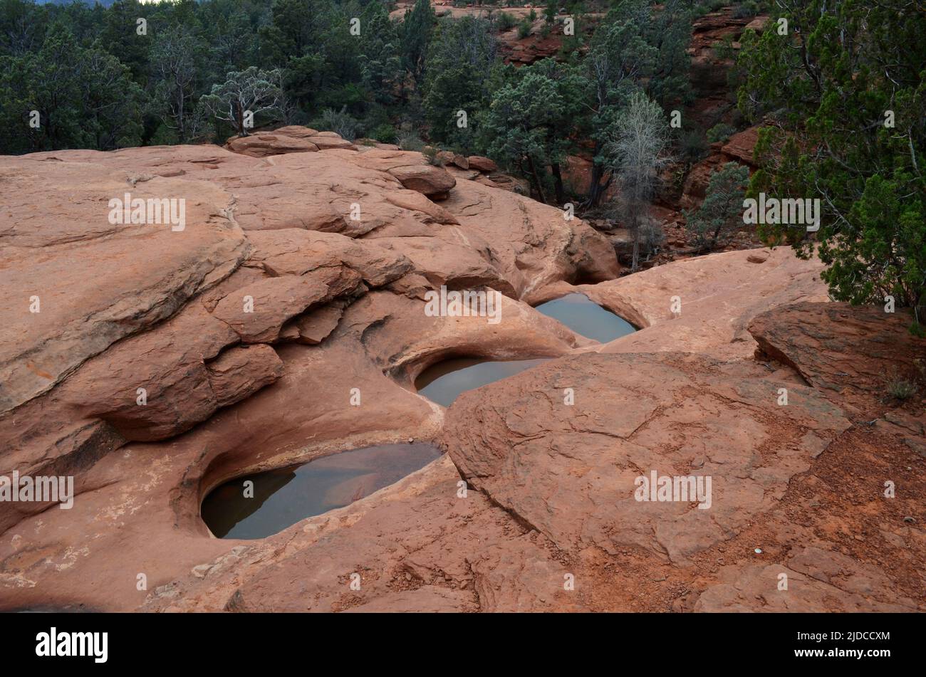 Fantastic sacred pools in beautiful red rock of Sedona Arizona Stock ...