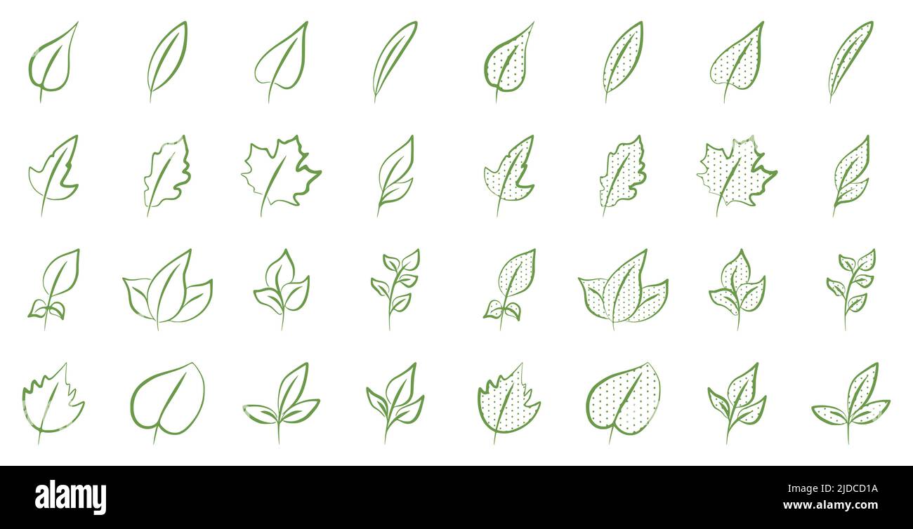Vector set of green leaves in doodle style on a white background ...