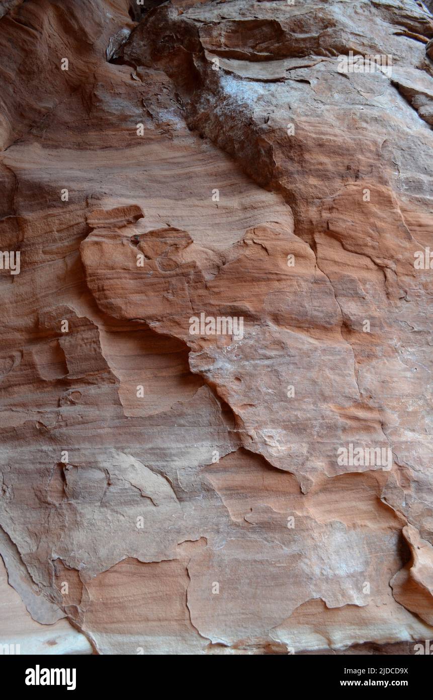 Textured layered red rock wall in remote and rural Sedona Arizona Stock ...