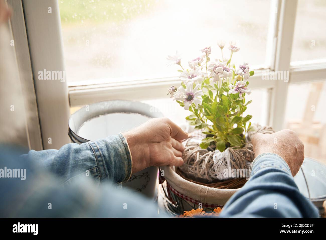Senior man taking care flowers hi-res stock photography and images - Alamy