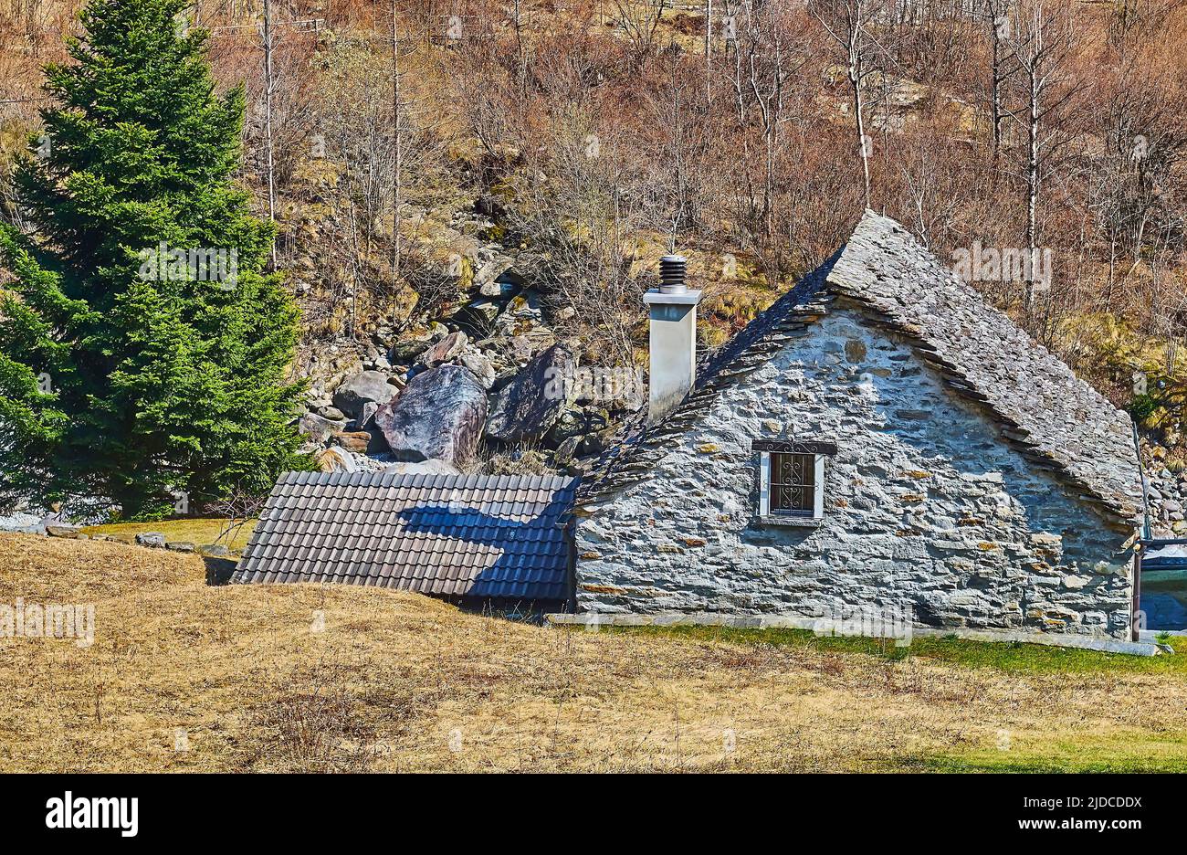 The green spruce at the small stone house, located in Gerra, Valle ...