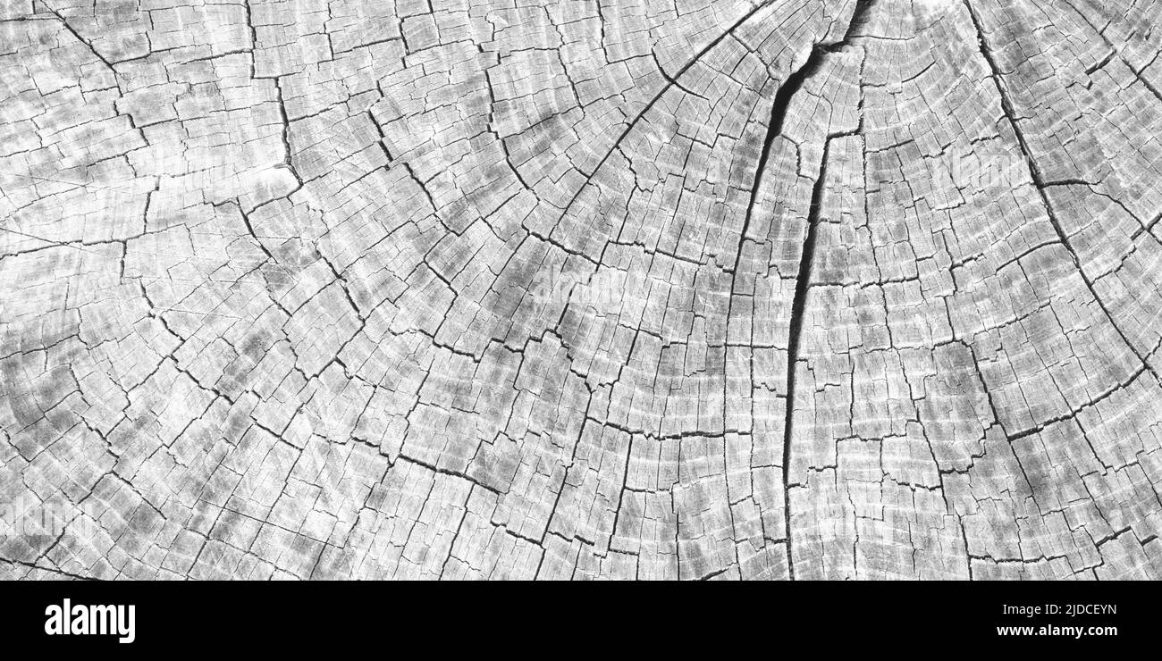 Natural gray wooden texture background, board wall and old panel wood ...