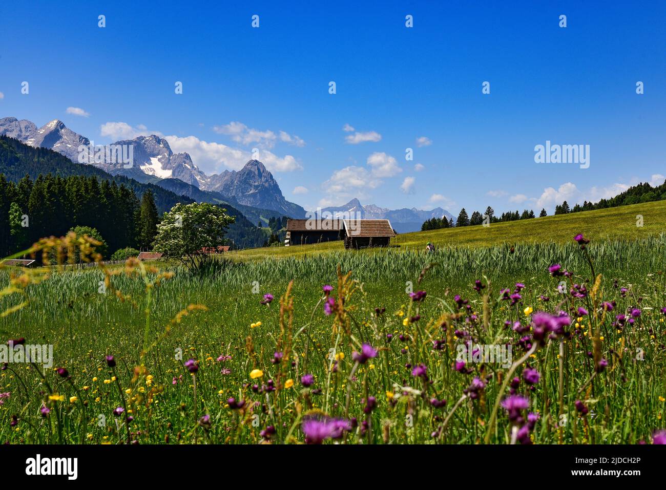 3334388c hi-res stock photography and images - Alamy