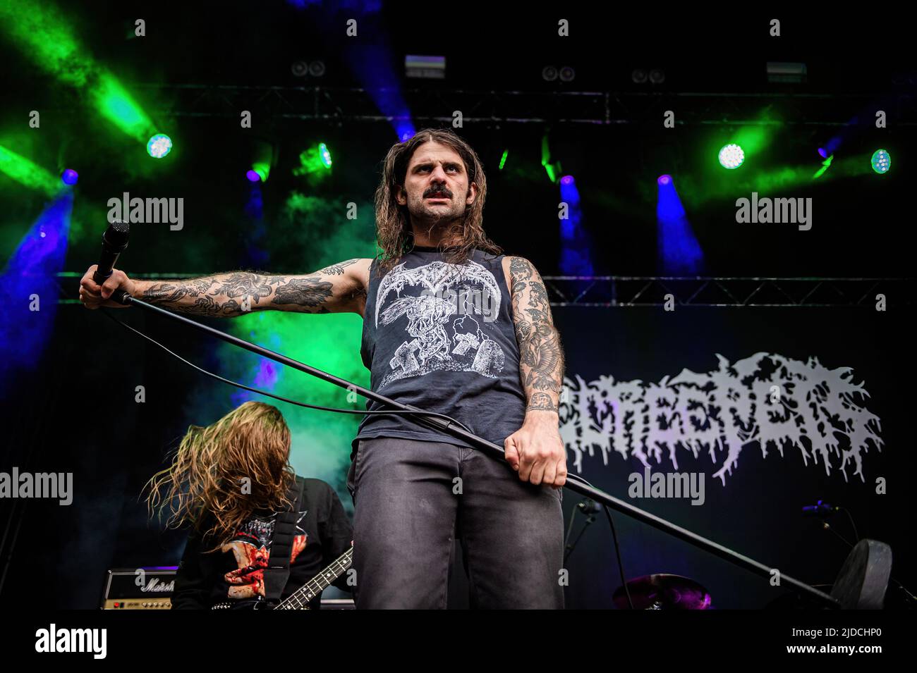 Gatecreeper hi-res stock photography and images - Alamy