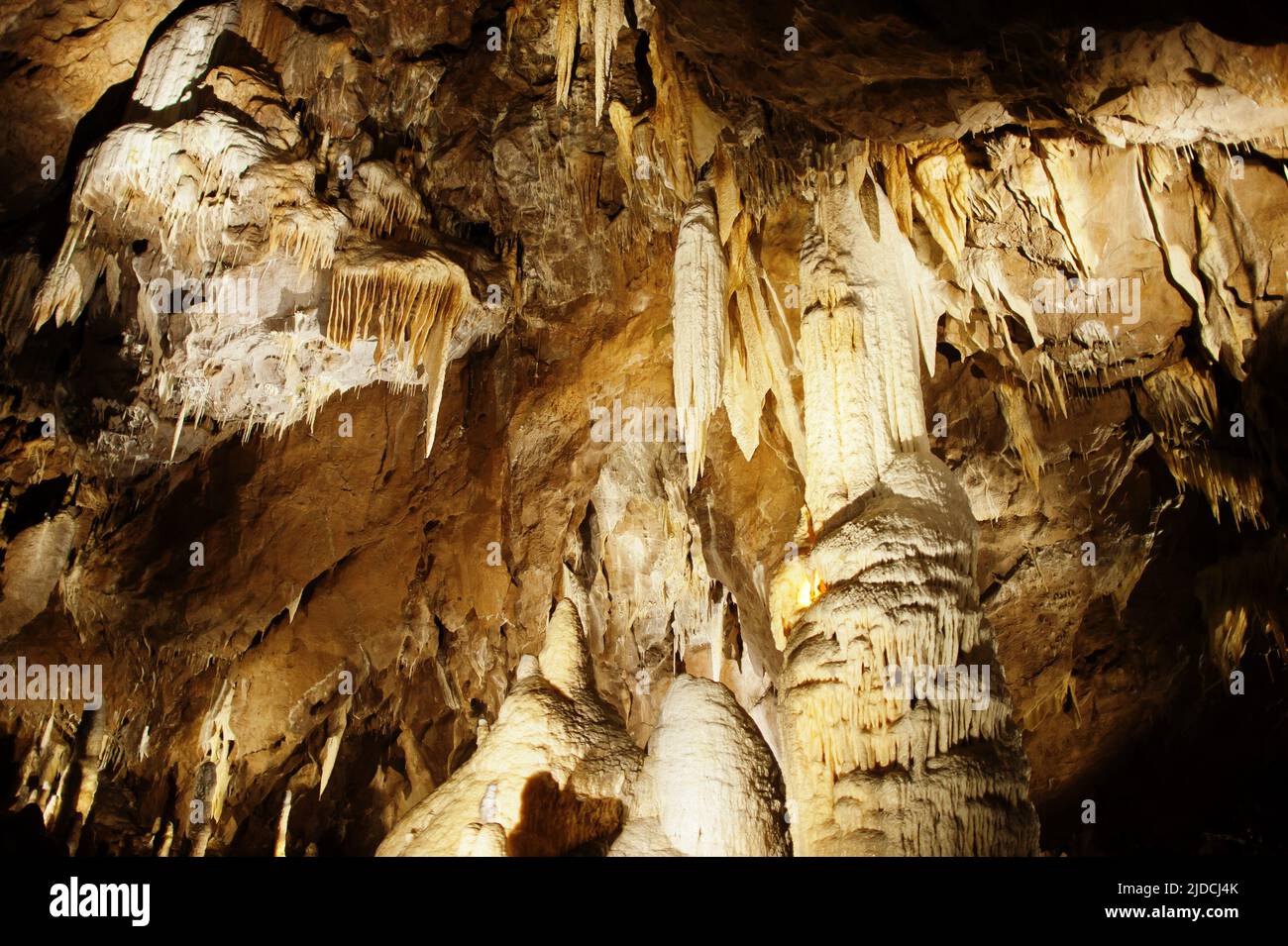 Stalactite of Punkva Caves, Czech Republic Stock Photo - Alamy