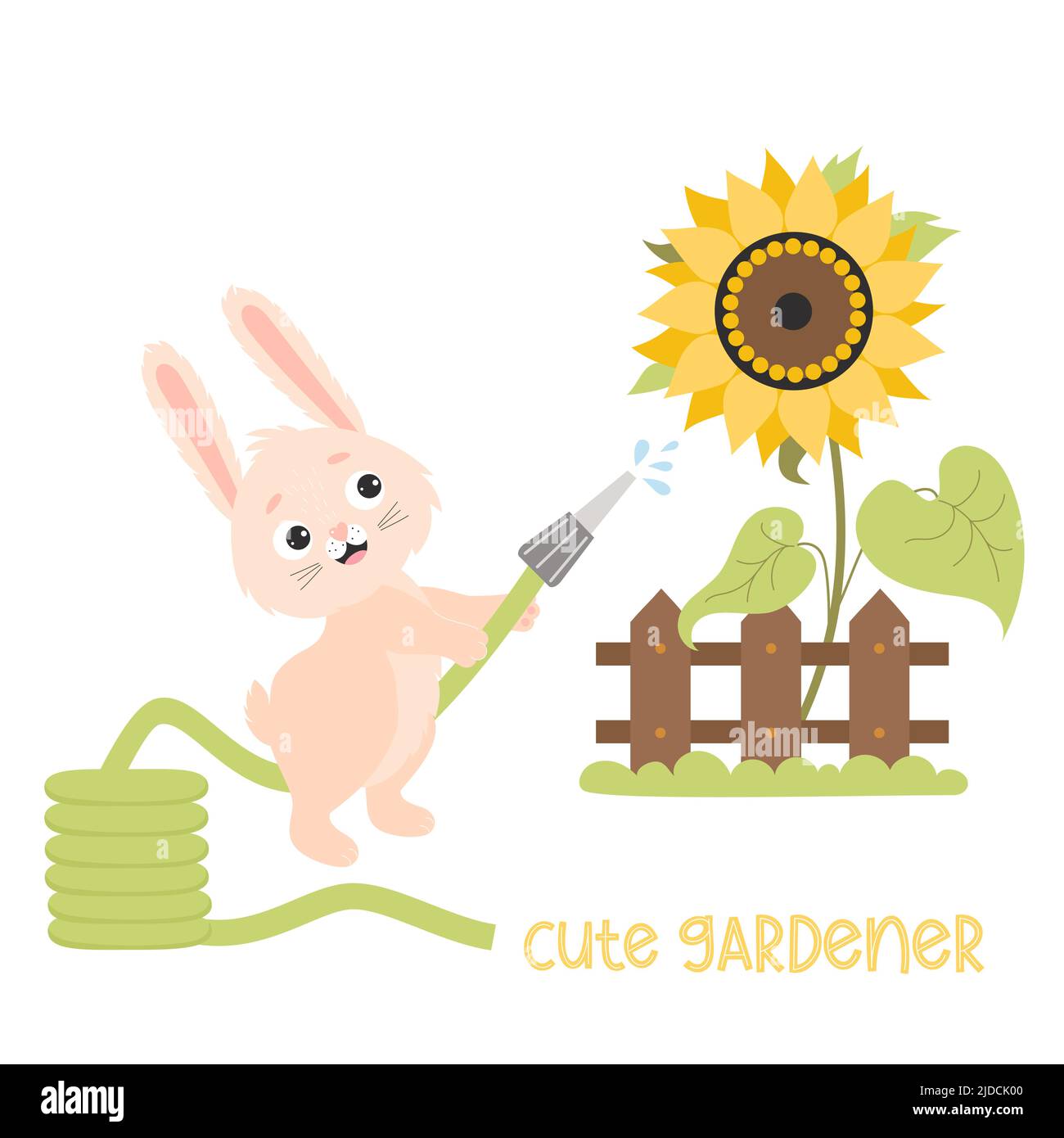 Cute bunny gardener. Rabbit waters yellow sunflower with hose behind ...