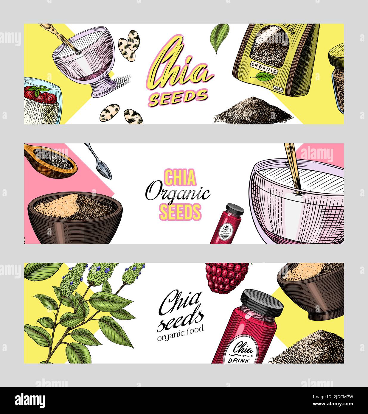 Salvia food Stock Vector Images - Alamy