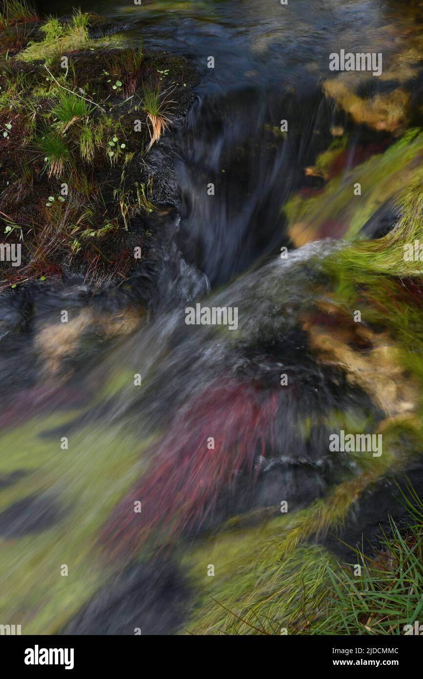 The De Lank River Bodmin Moor Cornwall Stock Photo - Alamy