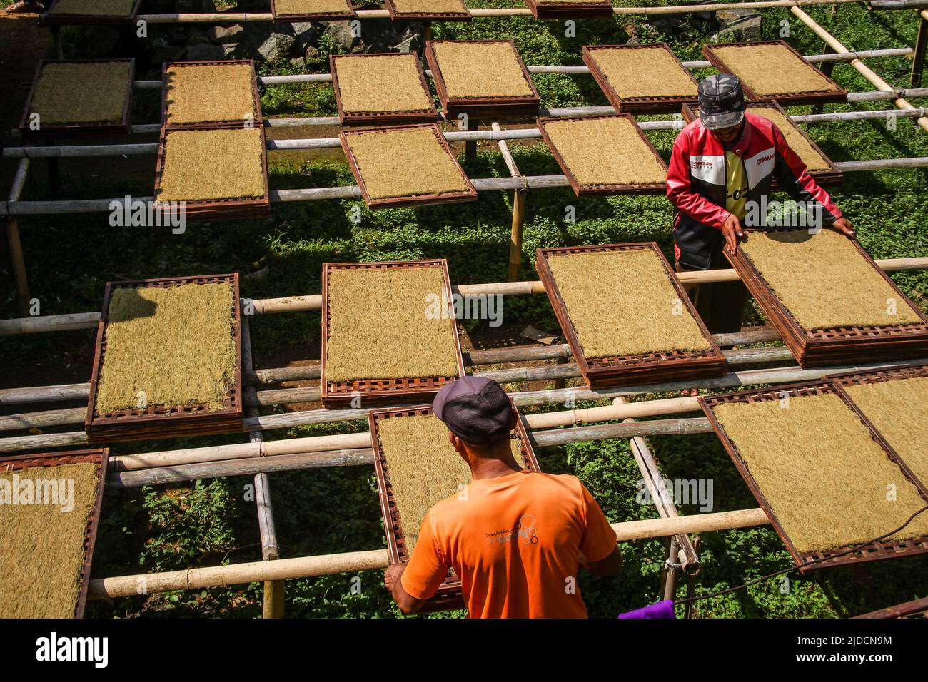 Man from village in pakistan hi-res stock photography and images - Alamy
