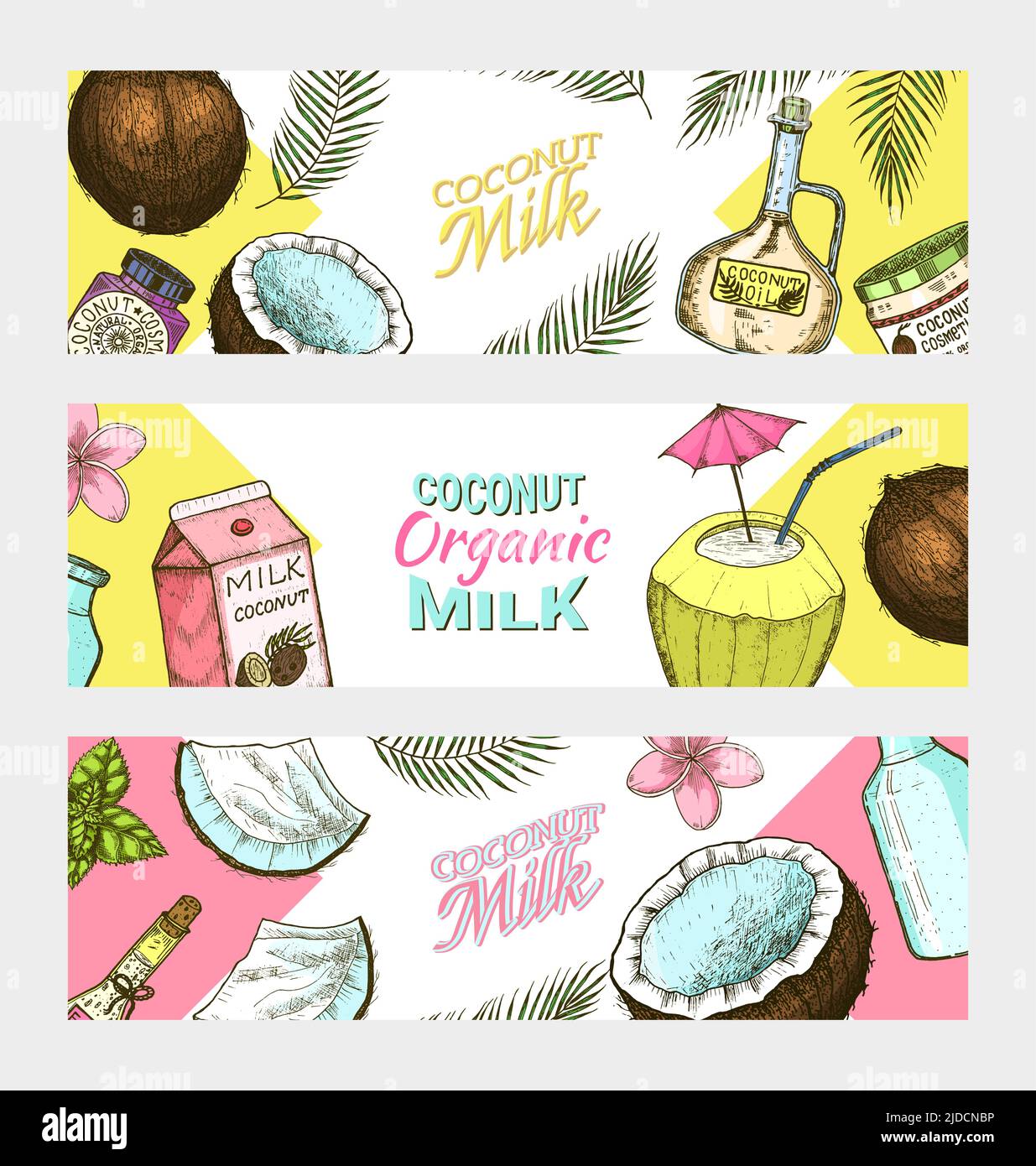 Coconut cards. Palm leaf, Milk packaging, glass bottle, butter ...