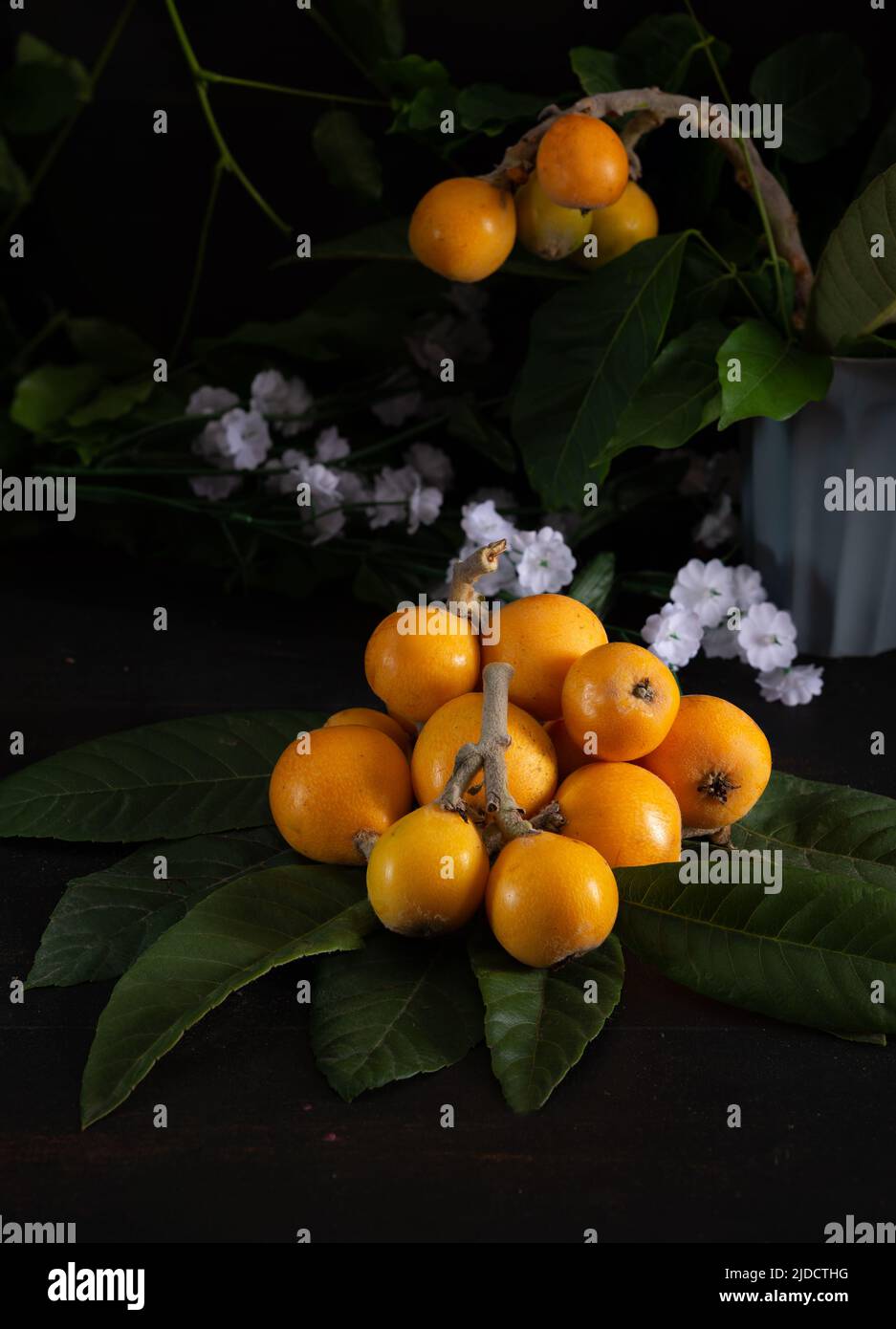 Medlar flowers photo hi-res stock photography and images - Alamy