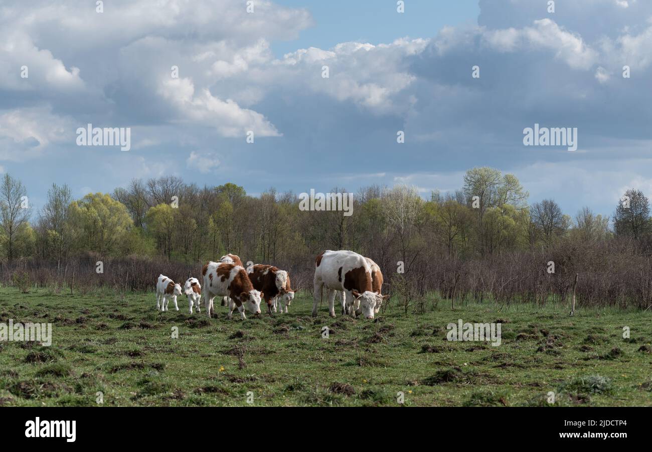 Big bump hi-res stock photography and images - Alamy