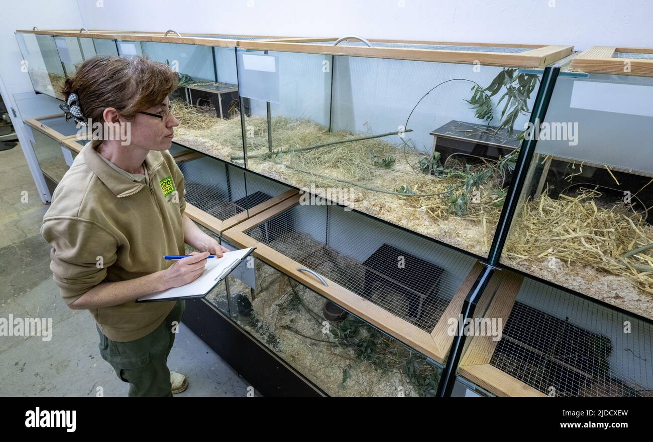 Tina keeper hi-res stock photography and images - Alamy