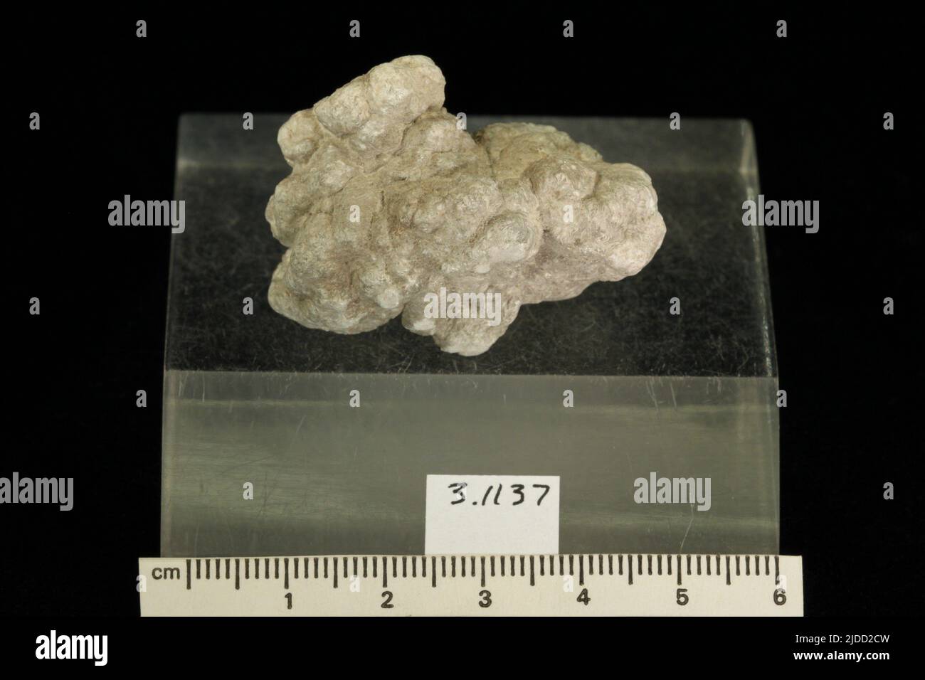 Ulexite. minerals. South America; Chile; Tarapaca Province; Iquique ...