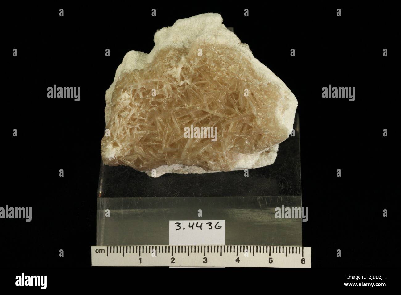 Aphthitalite hi-res stock photography and images - Alamy