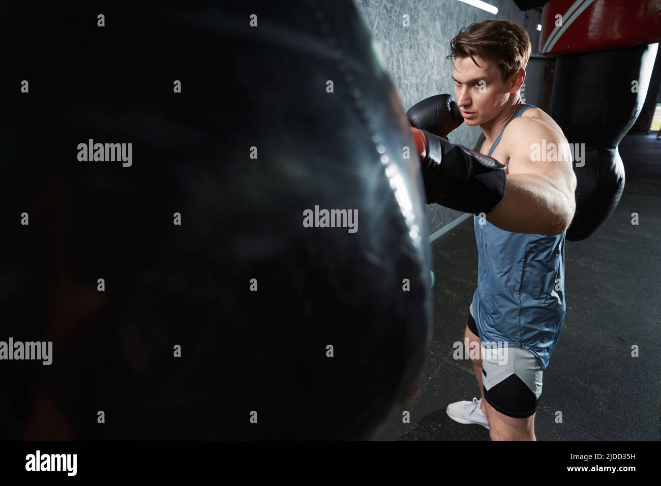 Concentrated well-built guy practicing punches at gym Stock Photo - Alamy