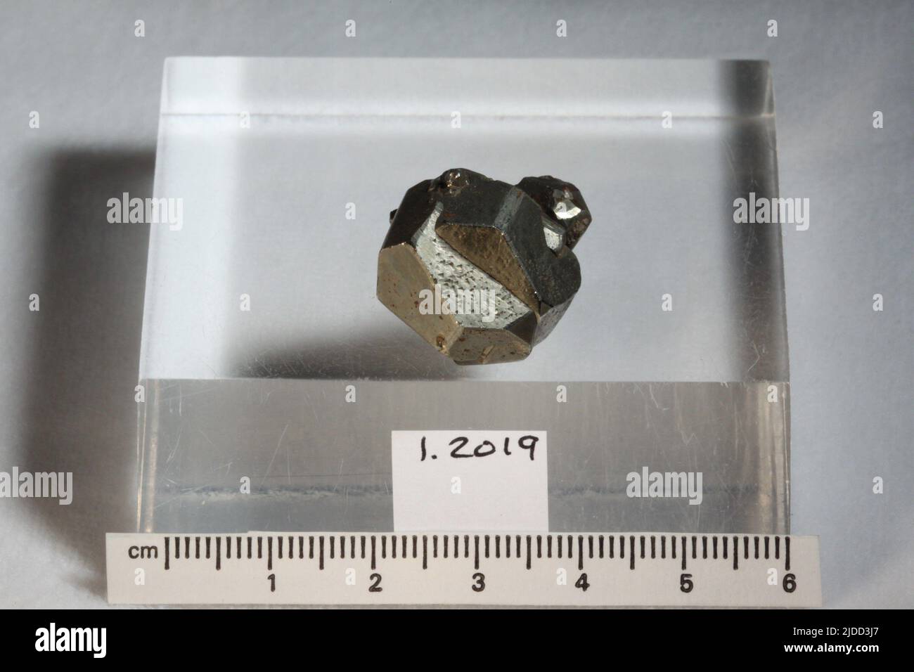 Pyrite. minerals. Europe; Italy; Toscana Region; Elba Island Stock ...