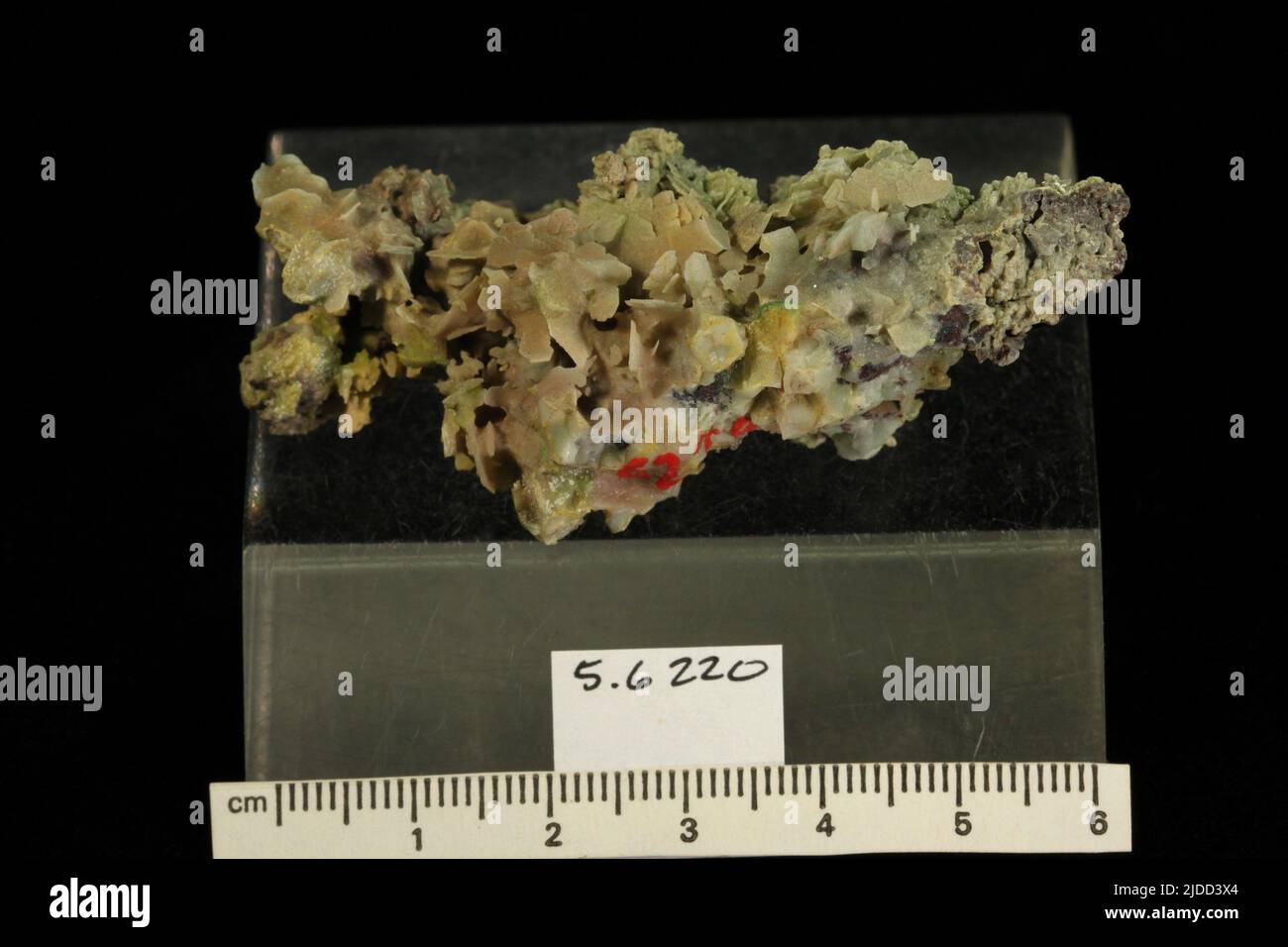 Aphthitalite hi-res stock photography and images - Alamy