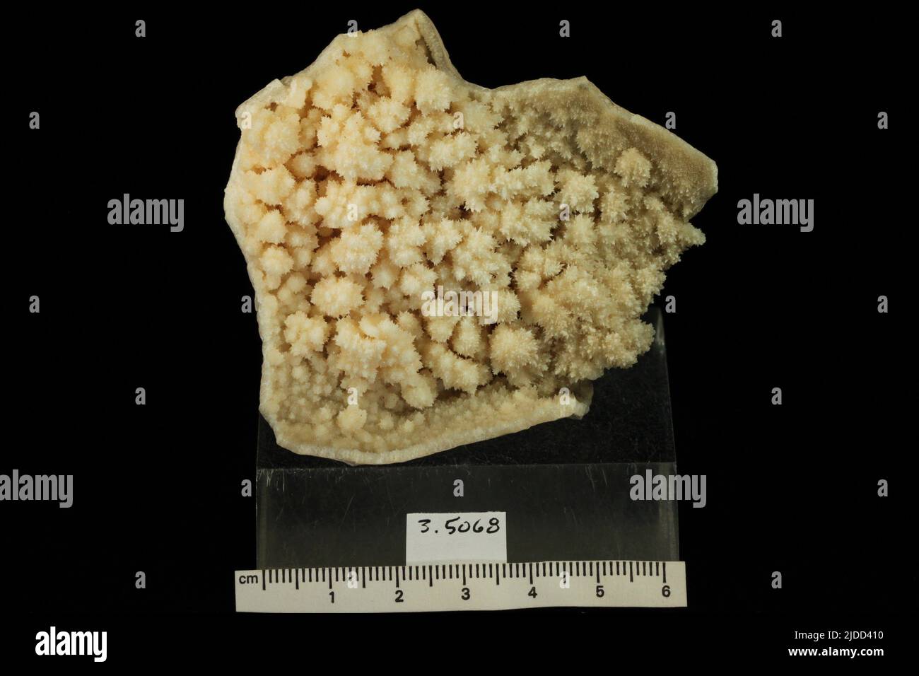 Calcite. minerals. North America; USA; New York; Washington County ...