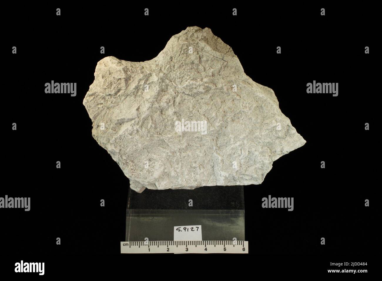 Hydrozincite. minerals. Africa; Algeria; Constantine; Bou-Thaleb Mine ...
