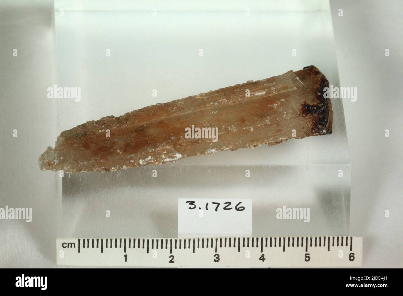Gypsum. minerals. North America; USA; Kentucky; Edmonson County ...