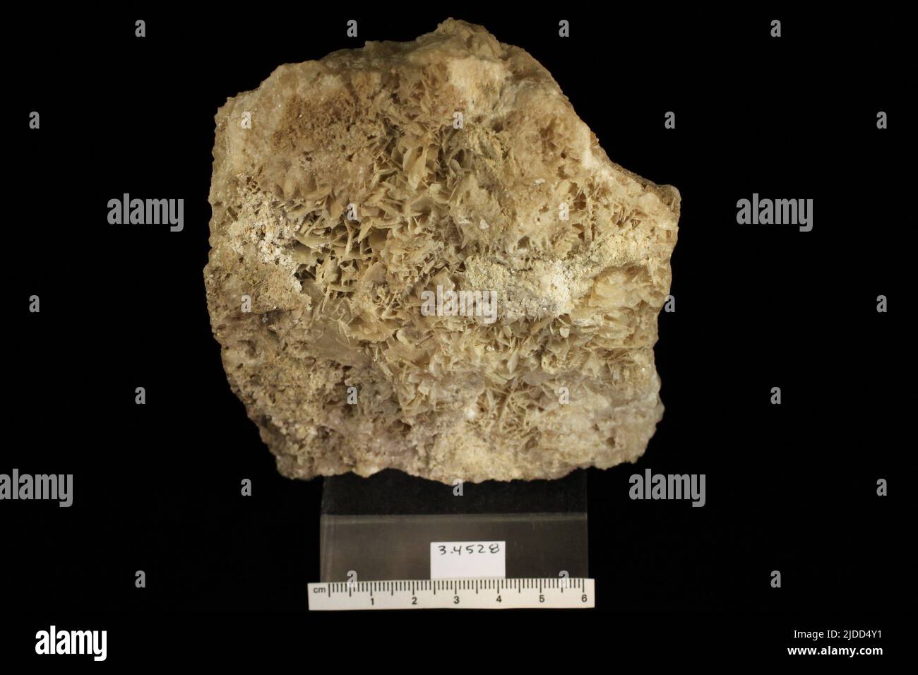 Aphthitalite hi-res stock photography and images - Alamy