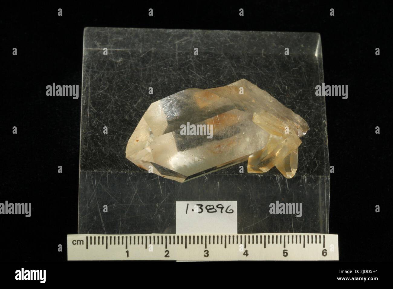 Garland springs hi-res stock photography and images - Alamy