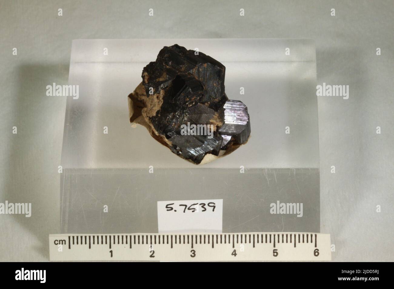 Magnet cove hi-res stock photography and images - Alamy