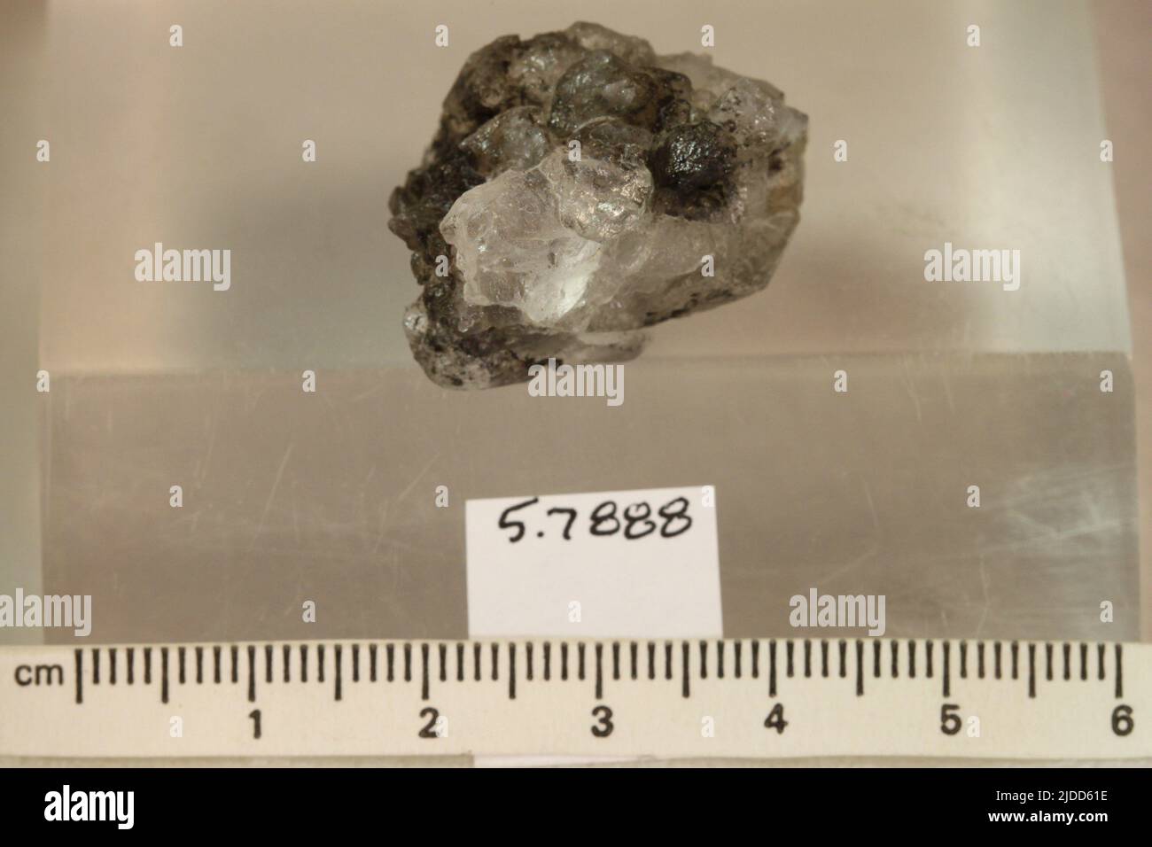 Blodite. minerals. Europe; Germany; Saxony, Westeregeln Stock Photo - Alamy