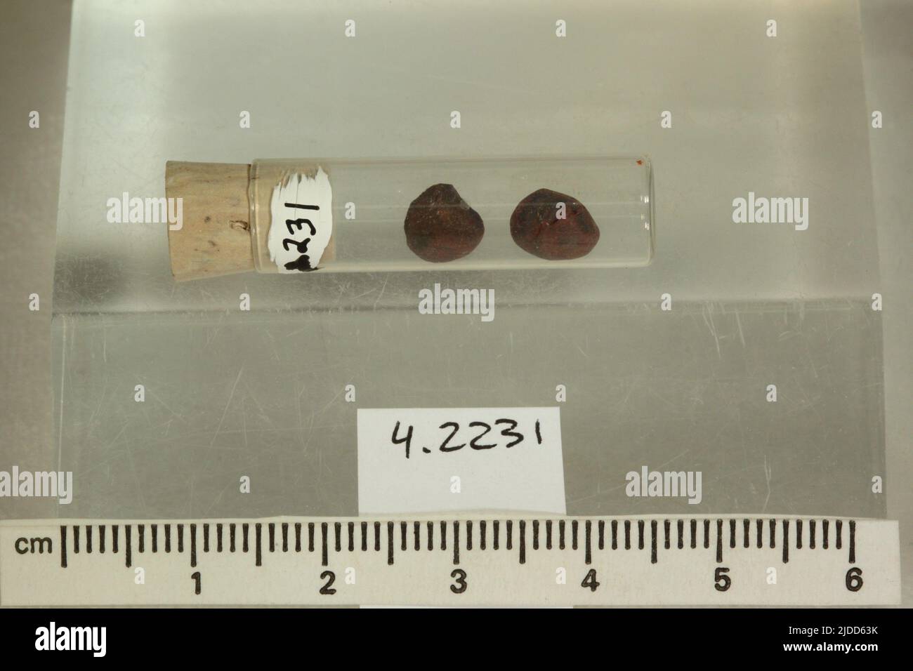 Chittering hi-res stock photography and images - Alamy