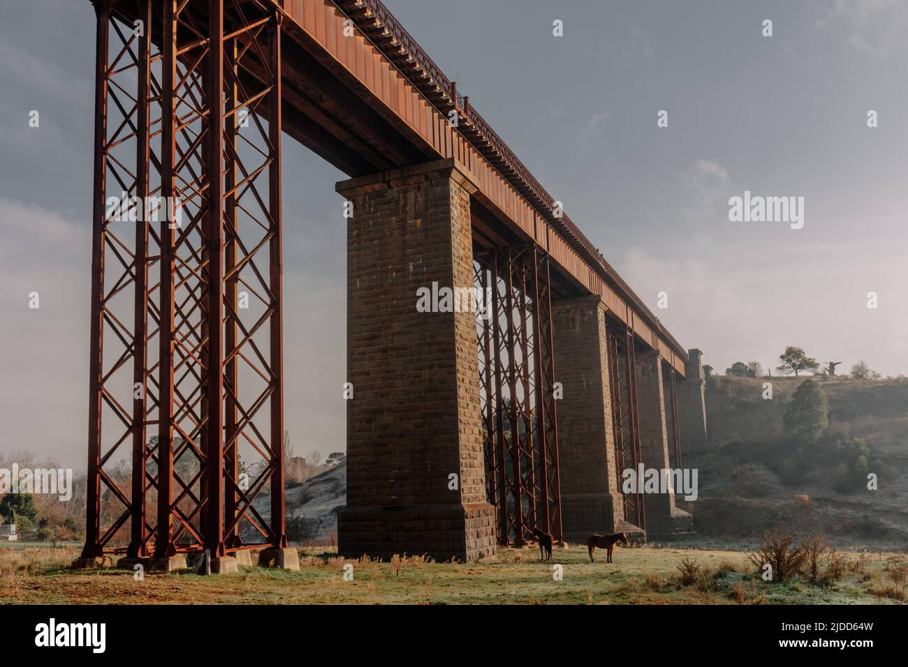 Taradale viaduct hi-res stock photography and images - Alamy
