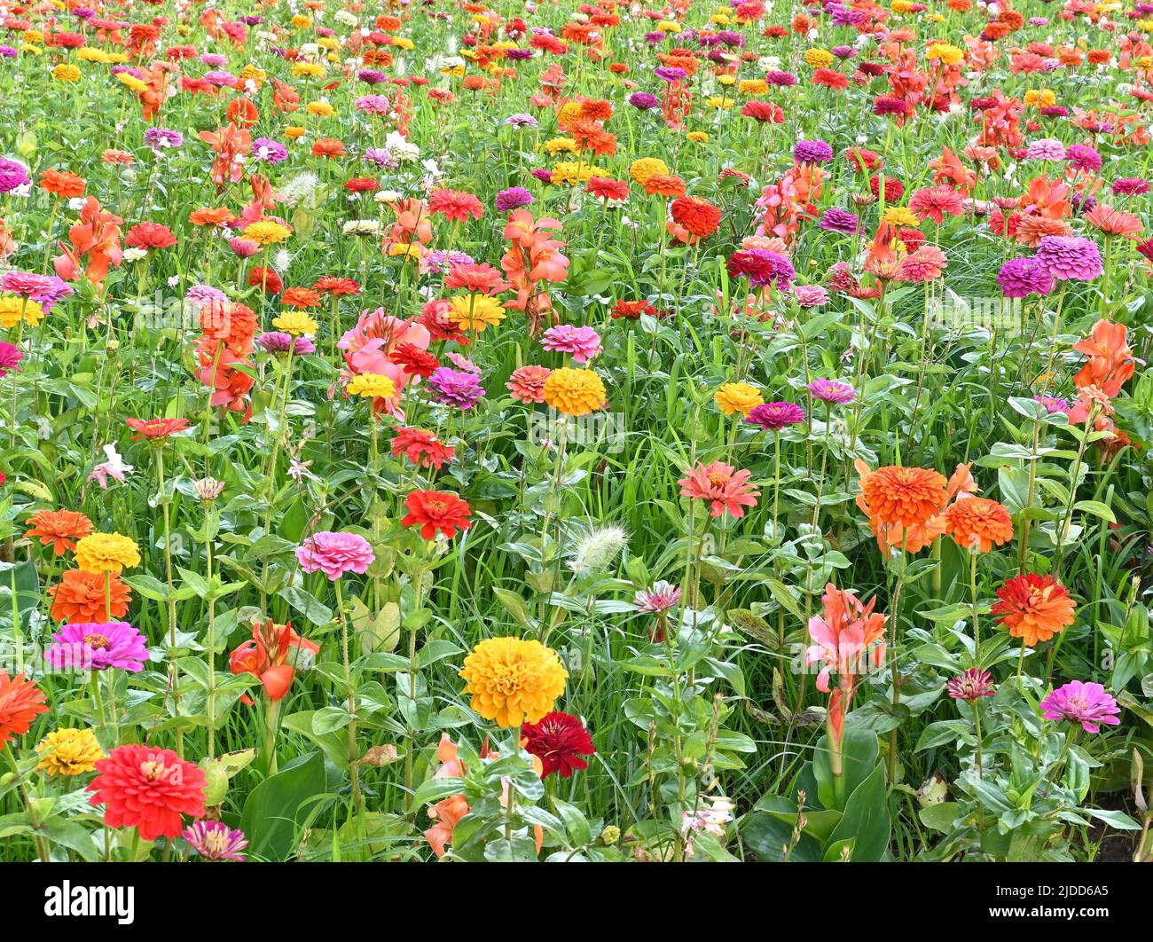 Bunte bunte farben hi-res stock photography and images - Alamy