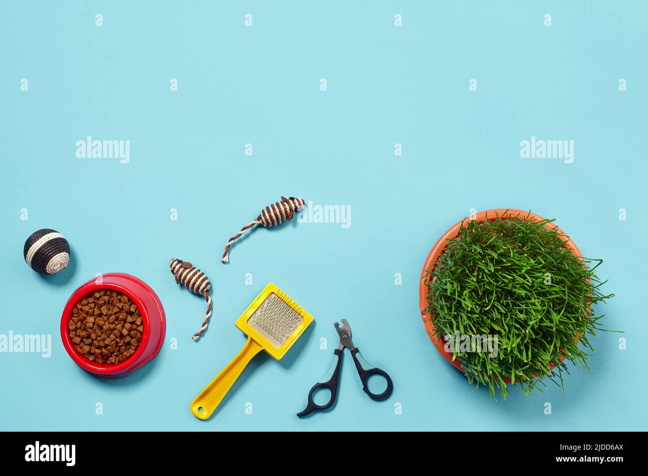 Flat lay composition with accessories for a cat on a blue background ...