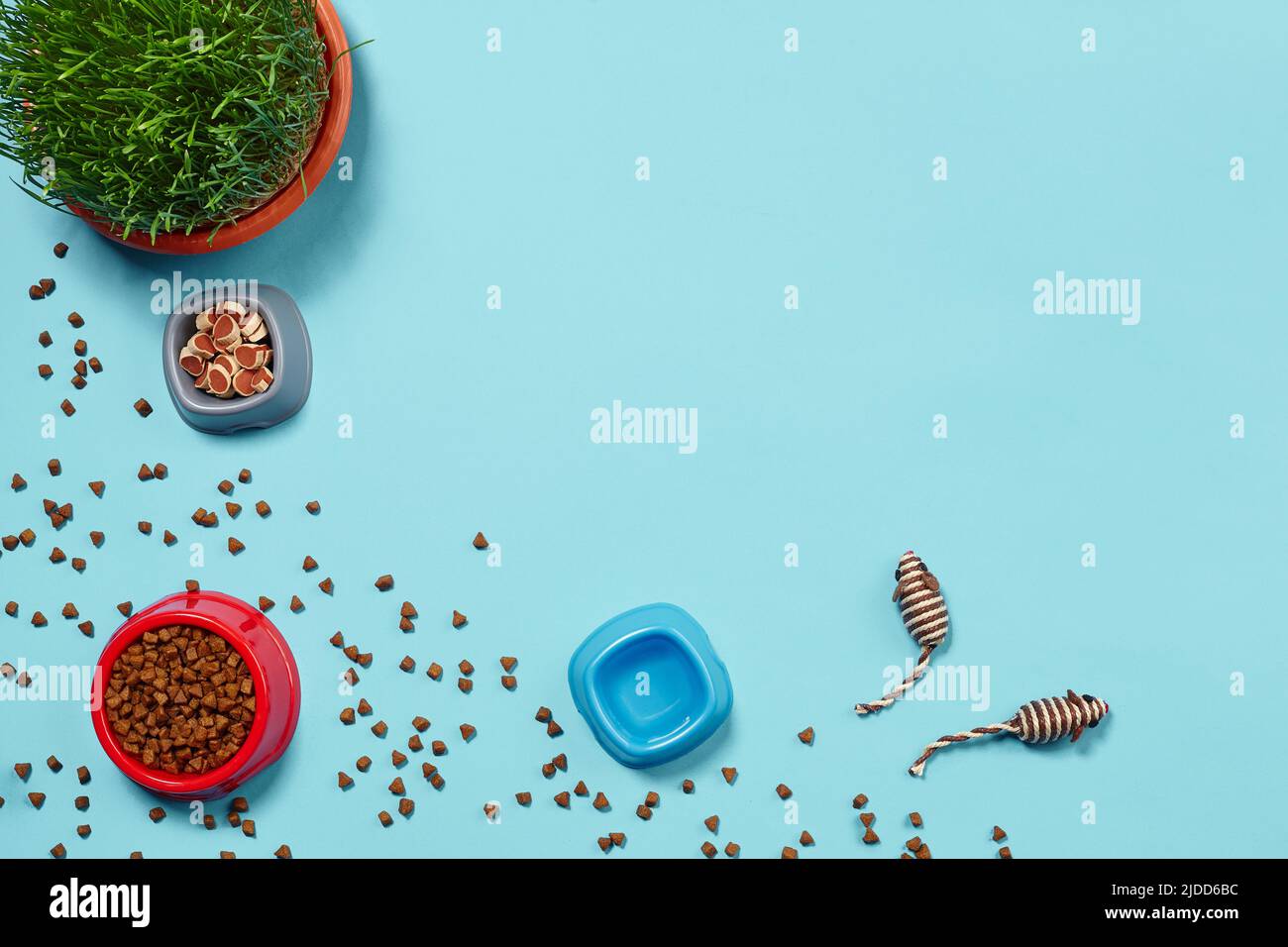 Flat lay composition with accessories for a cat on a blue background ...