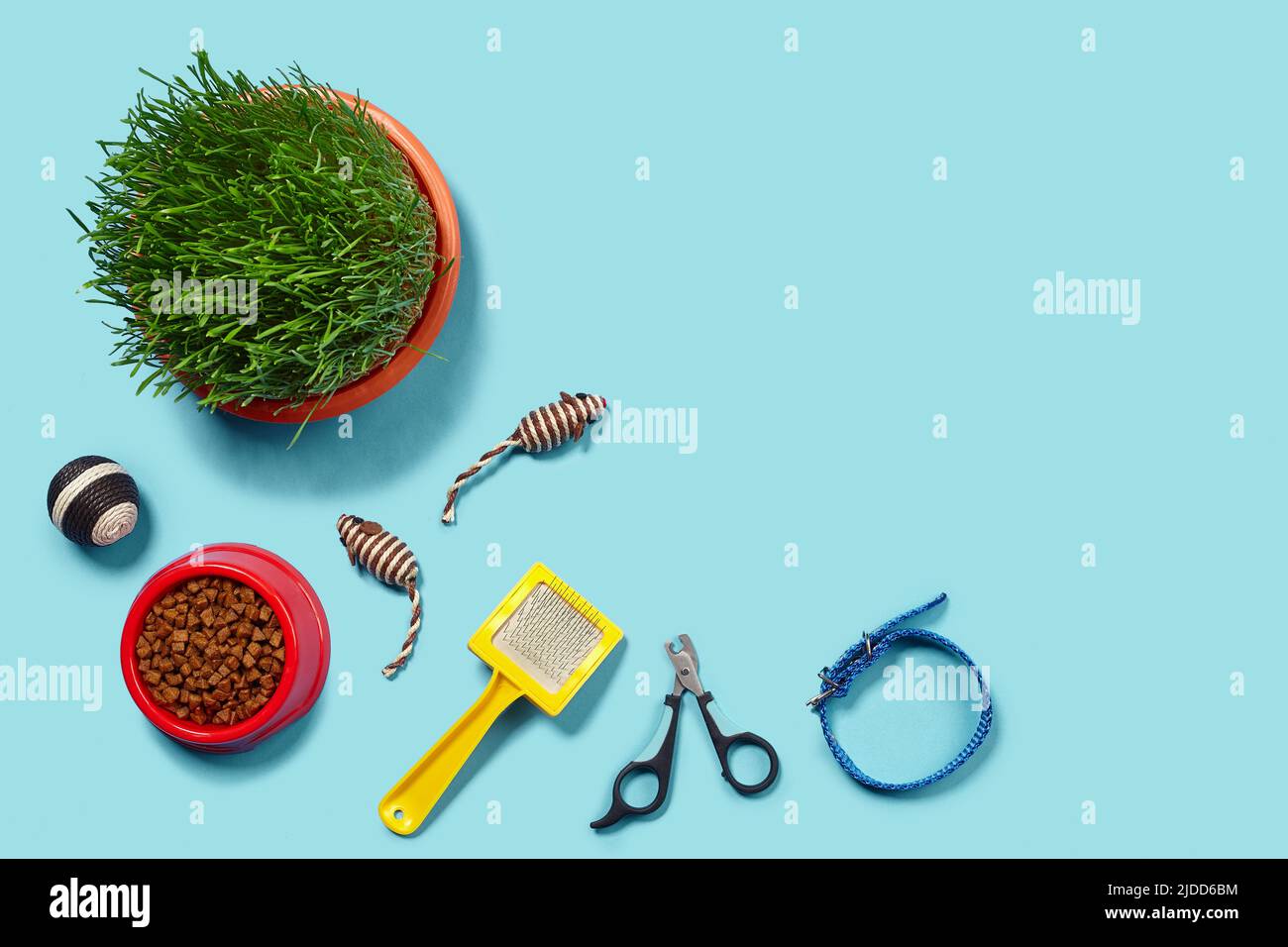 Flat lay composition with accessories for a cat on a blue background ...