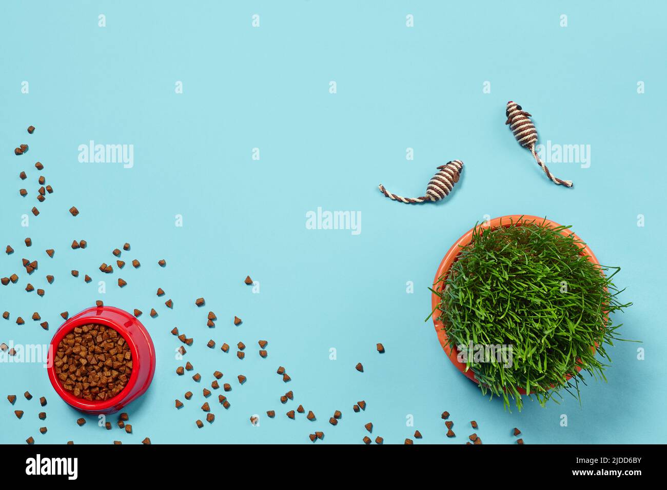 Flat lay composition with accessories for a cat on a blue background ...