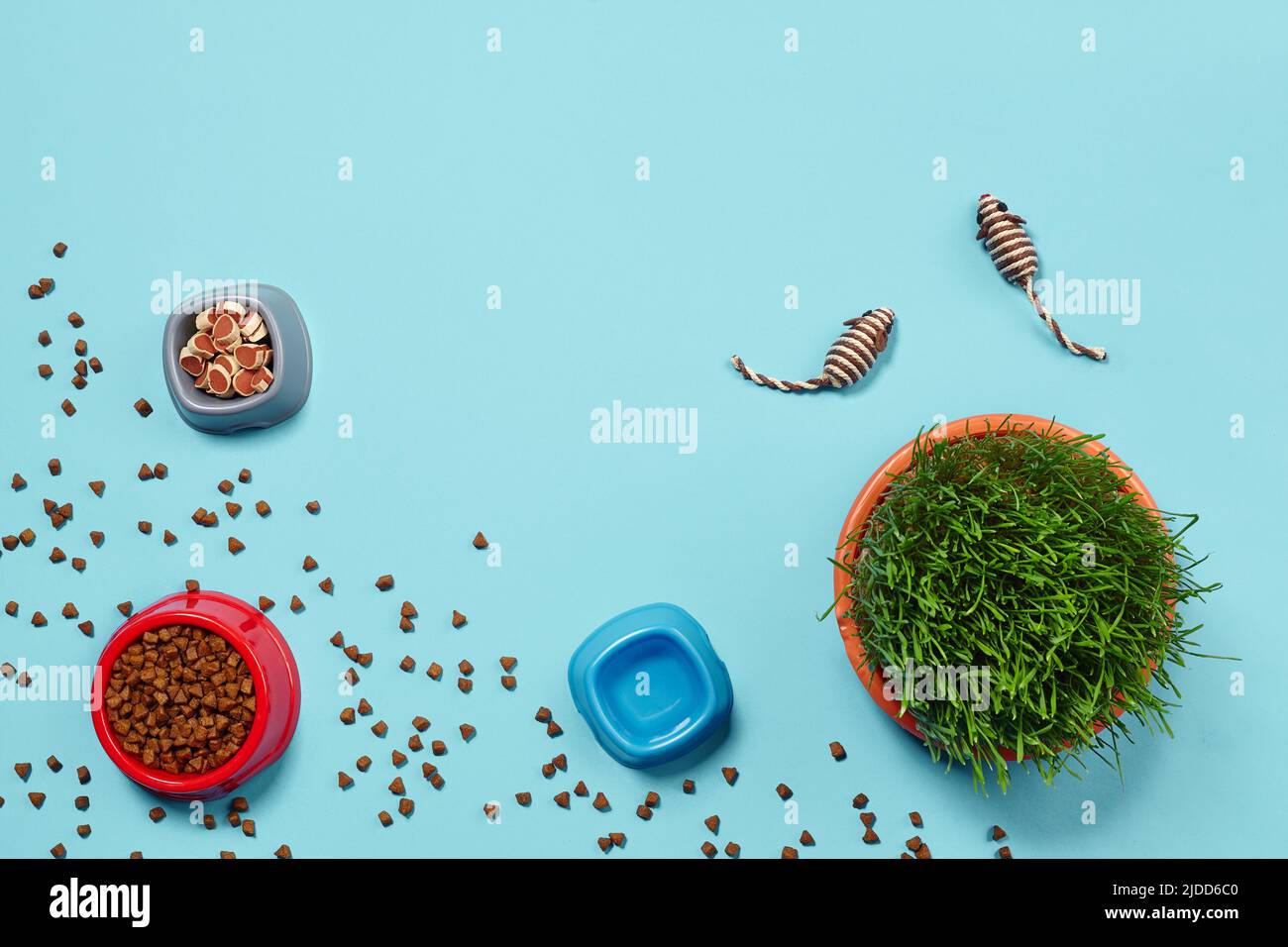 Flat lay composition with accessories for a cat on a blue background ...