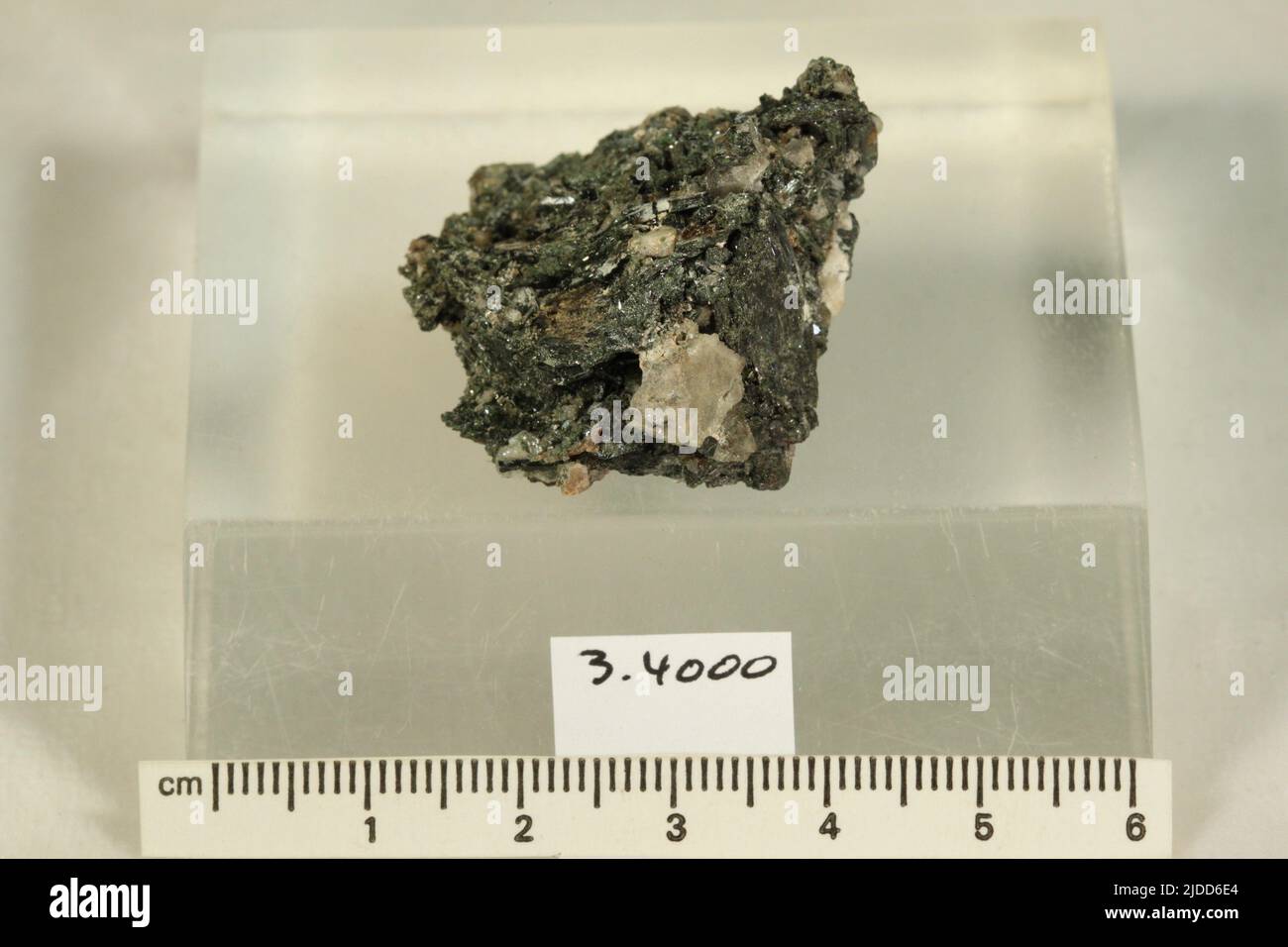 Parisite hi-res stock photography and images - Alamy