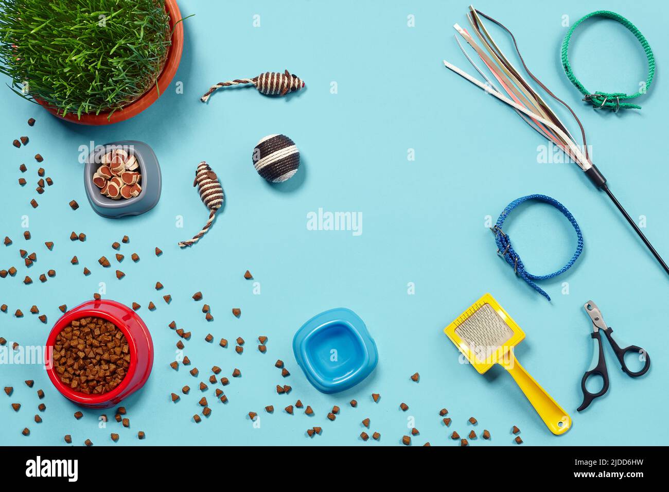 Flat lay composition with accessories for a cat on a blue background ...