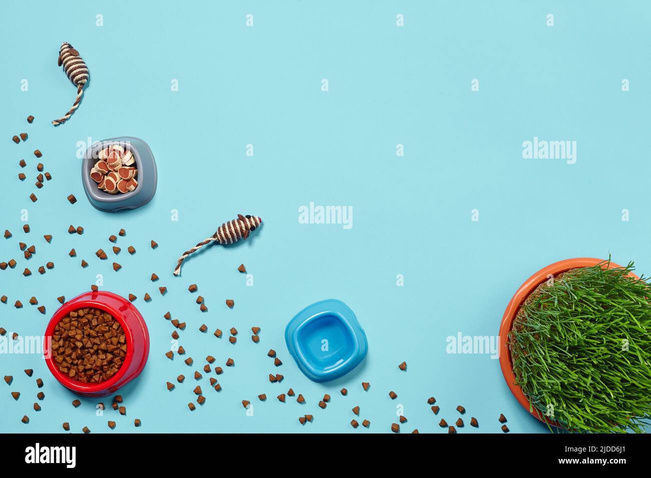 Flat lay composition with accessories for a cat on a blue background ...